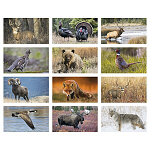 4imprint.com: North American Wildlife Large Wall Calendar 123699